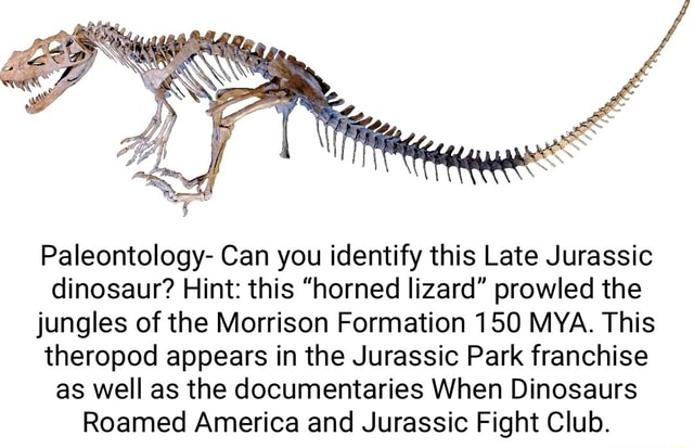 Paleontology- Can you identify this Late Jurassic dinosaur? Hint: this ...