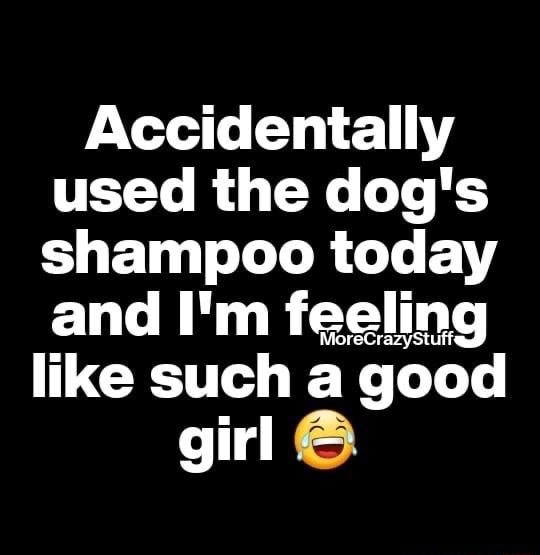 Accidentally used the dog's shampoo today and I'm feeling like such a ...