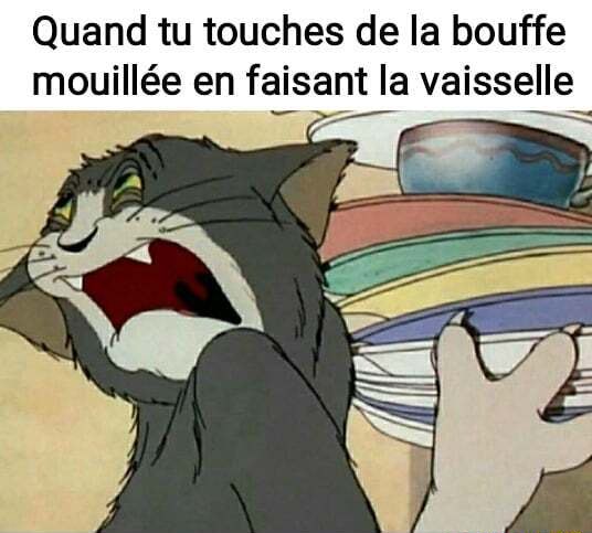 Quand tu touches de la bouffe mouille en faisant la vaisselle - iFunny