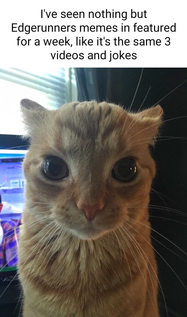 I've seen nothing but Edgerunners memes in featured for a week, like it ...