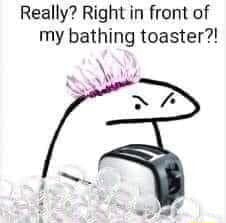 Really? Right in front of my bathing toaster?! - iFunny
