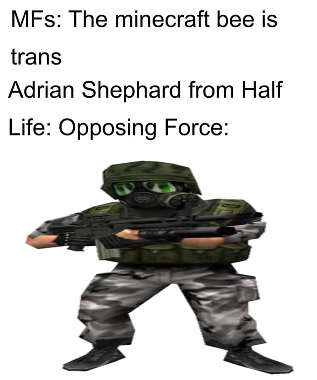 MEs: The minecraft bee is trans Adrian Shephard from Half Life ...