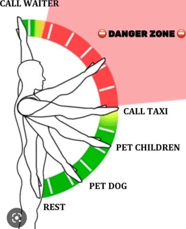 CALL WAITER I DANGER ZONE CALL TAXI PET CHILDREN PET DOG REST - iFunny