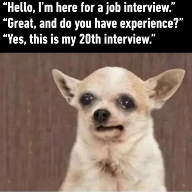"Hello, I'm here for a job interview." "Great, and do you have ...