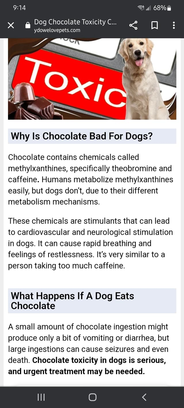 68% xX Dog Chocolate Toxicity C... Why Is Chocolate Bad For Dogs ...