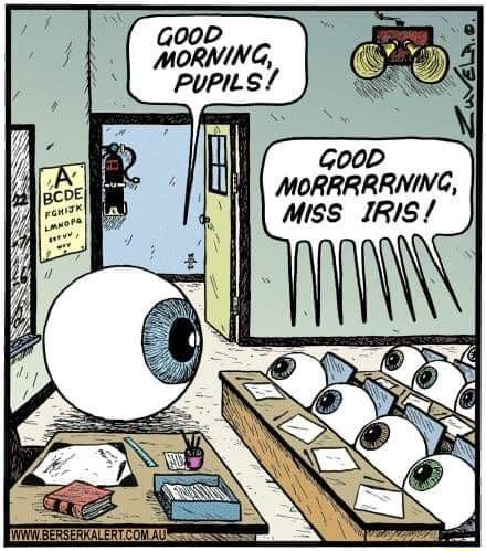 GOoD MORNING, PUPILS/ GooD MORRRRRNING, MIss IRIS/ - iFunny
