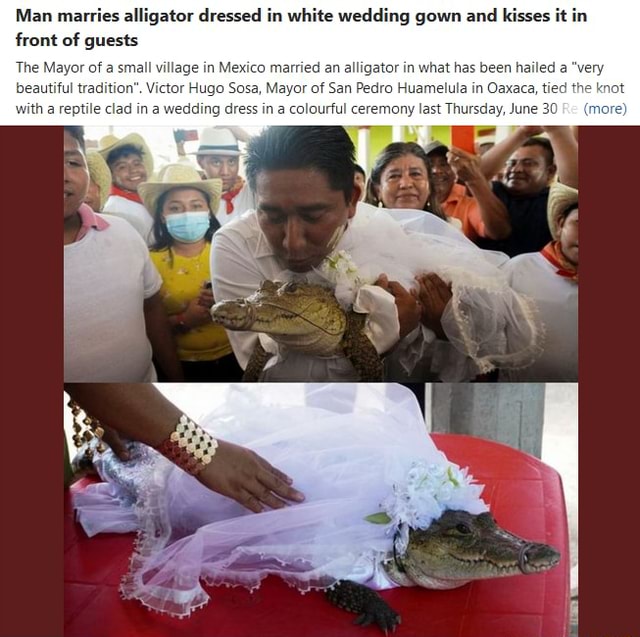 Man marries alligator dressed in white wedding gown and kisses it in ...