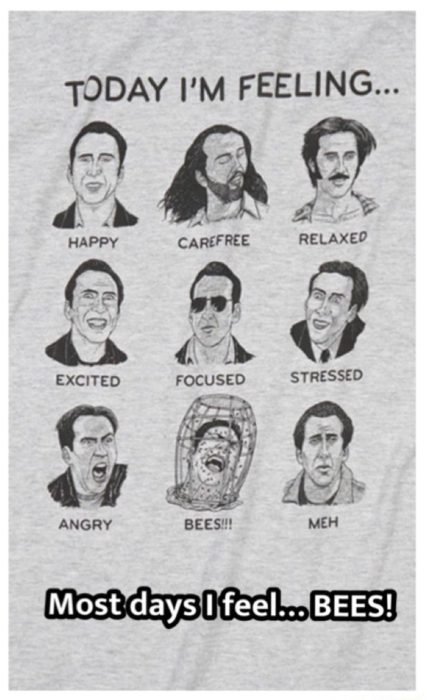 TODAY I'M FEELING... RELAXED 4, 6 STRESSED 47 ANGRY BEES" MEH Most I ...