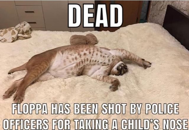 DEAD FLOPPA HAS BEEN SHOT BY POLICE OFFICERS FOR TAKING CHILD'S NOSE ...