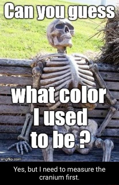 Can yougu what color lused tohe? Yes, but I need to measure the cranium ...