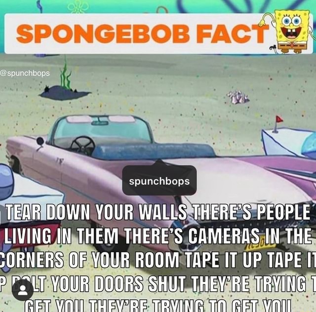 SPONGEBOB FACT spunchbops LIVING IN THEM THERE'S CAMERAS IN THE DORNERS ...