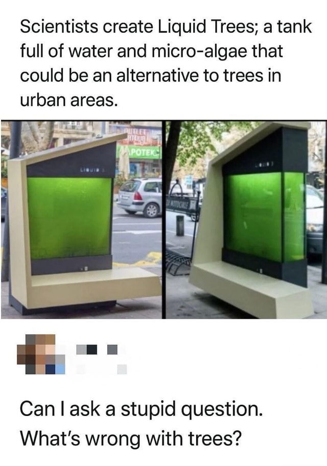 Scientists create Liquid Trees; a tank full of water and micro-algae ...