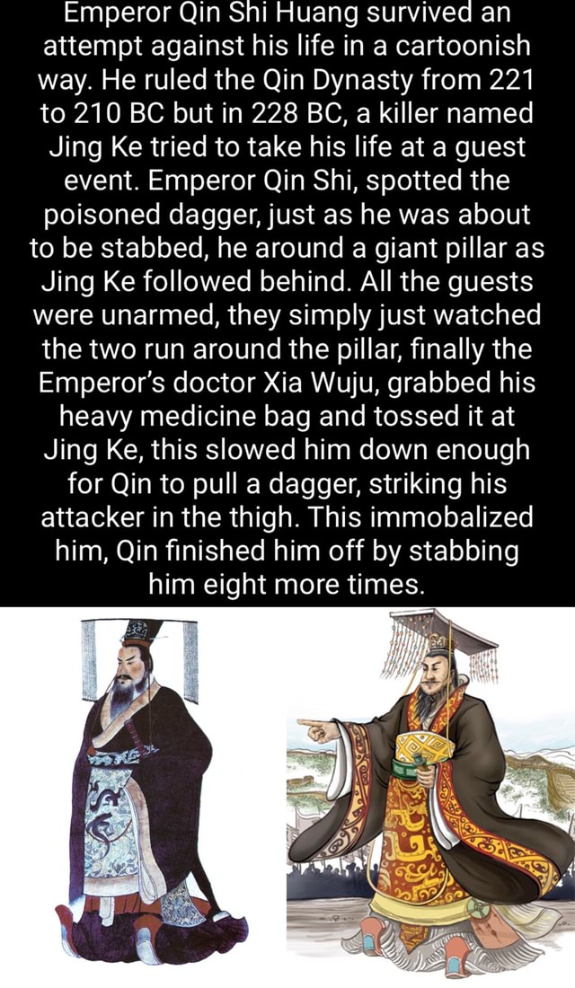 Emperor Qin Shi Huang Survived An Attempt Against His Life In A
