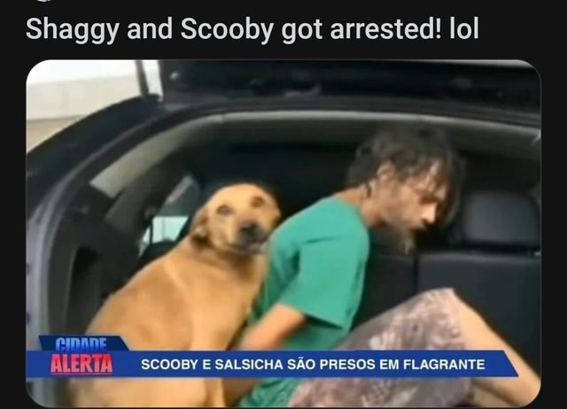 Shaggy and Scooby got arrested! lol PMANE ALERTA scoosy SALSICHA SAO ...