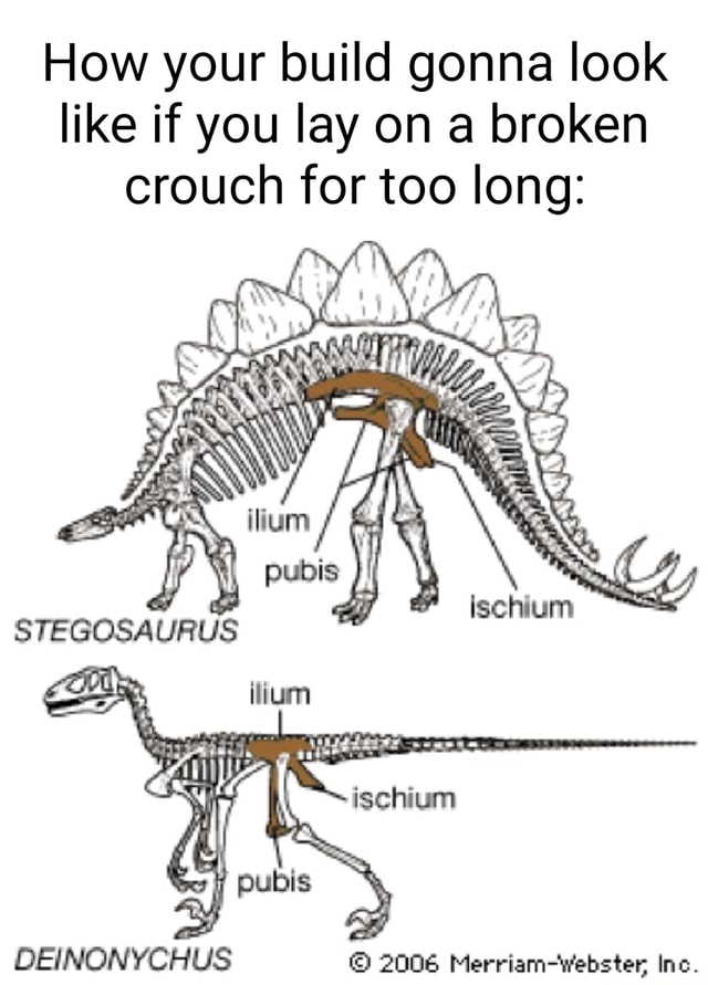 How your build gonna look like if you lay on a broken crouch for too ...