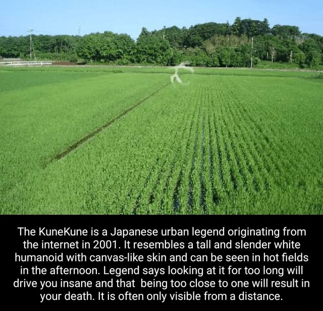 The KuneKune is a Japanese urban legend originating from the internet ...