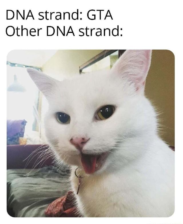 DNA strand: GTA Other DNA strand: - iFunny