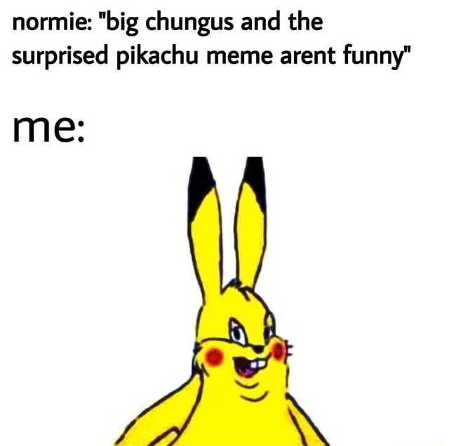 Normie: "big chungus and the surprised pikachu meme arent funny" - iFunny