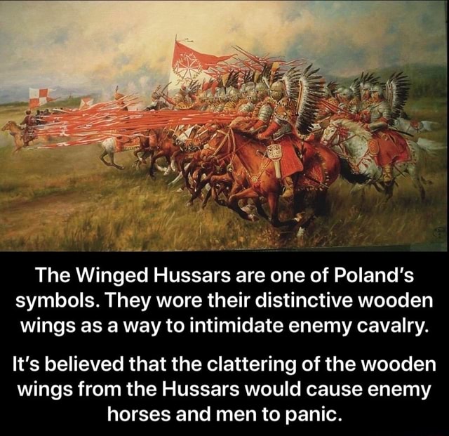 The Winged Hussars are one of Poland's symbols. They wore their ...