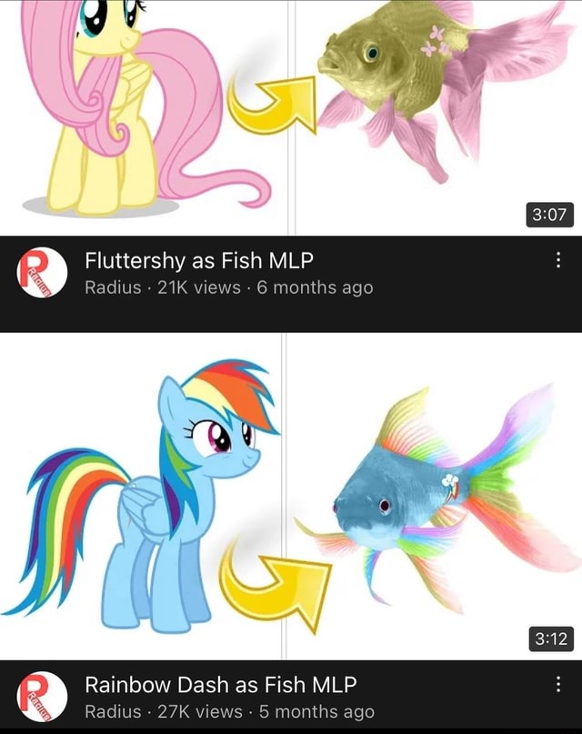 Fluttershy as Fish MLP Radius - views 6 months ago Rainbow Dash as Fish MLP Radius - views - 5 ...