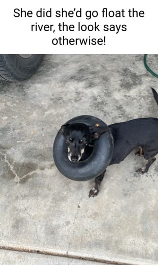 She did she'd go float the river, the look says otherwise! - America’s ...