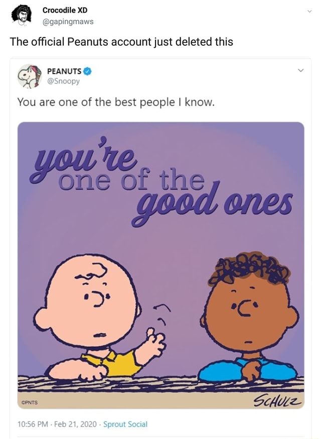The official Peanuts account just deleted this PEANUTS) @Snoopy You are ...
