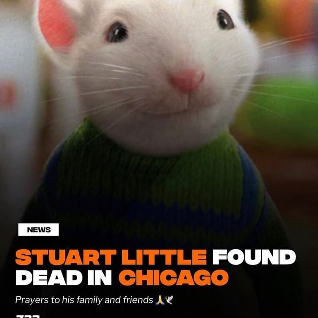 STUART LITTLE FOUND DEAD IN CHICAGO NEWS Prayers to his family and ...
