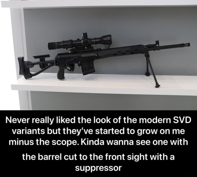 Never really liked the look of the modern SVD variants but they've ...