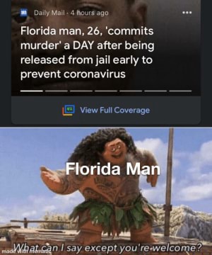 Thanks Florida Man - Florida man, 26, 'commits murder' a DAY after ...