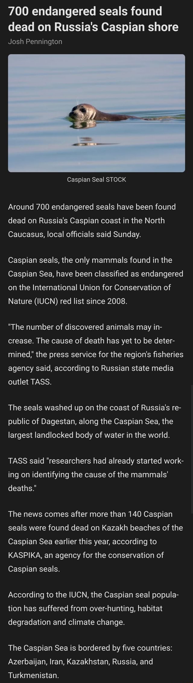 700 endangered seals found dead on Russia's Caspian shore Josh ...
