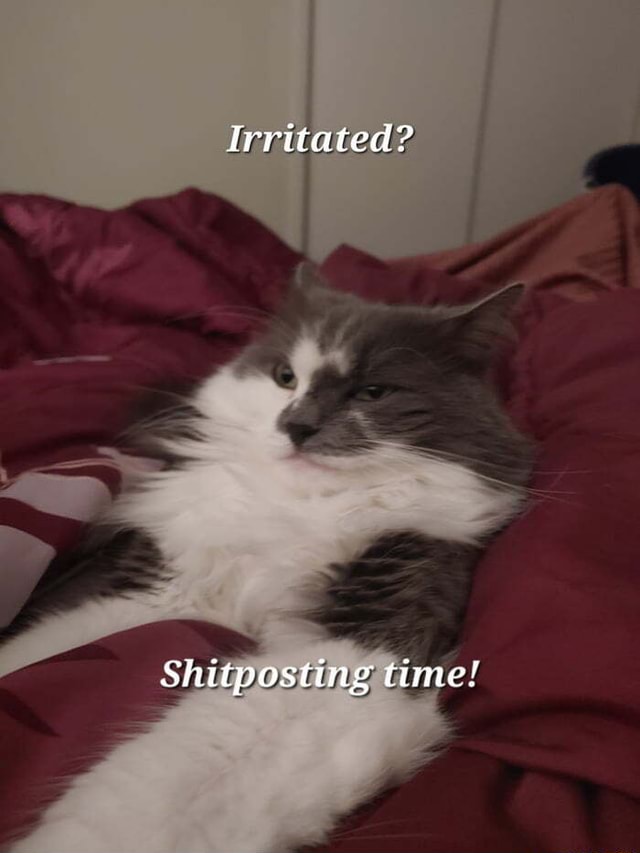 Irritated? Shitposting time! - iFunny
