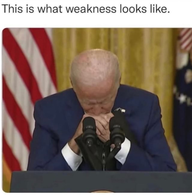 This is what weakness looks like. - America’s best pics and videos
