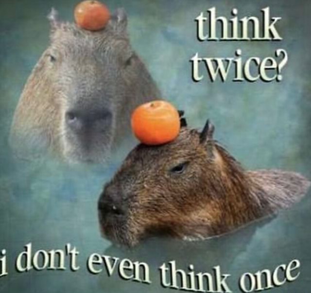 SS don't even think once - iFunny