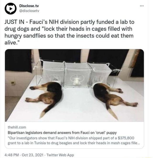 JUST IN - Fauci's NIH division partly funded a lab to drug dogs and ...