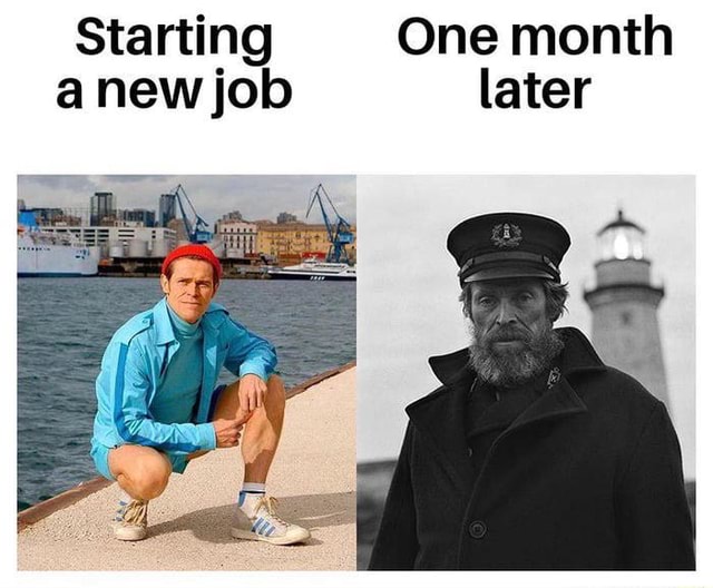 Starting One month anew job later - iFunny
