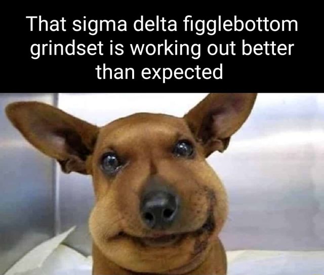 That sigma delta figglebottom grindset is working out better than ...