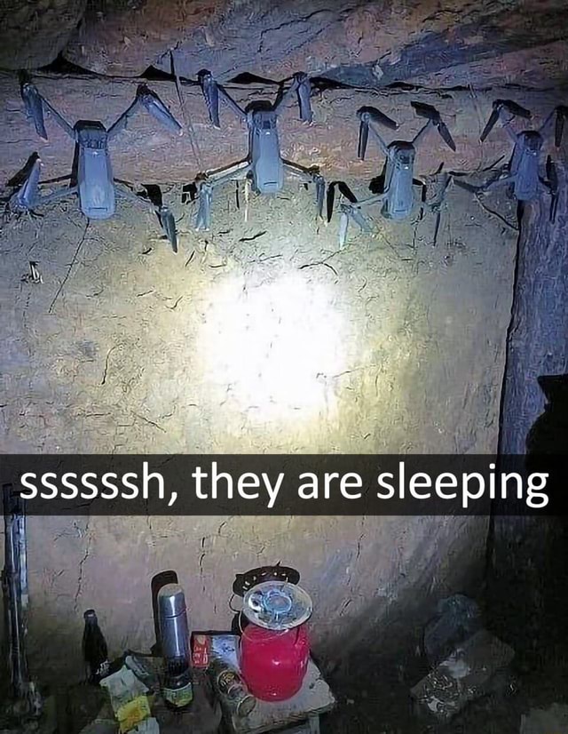 Ssssssh, they are sleeping - iFunny