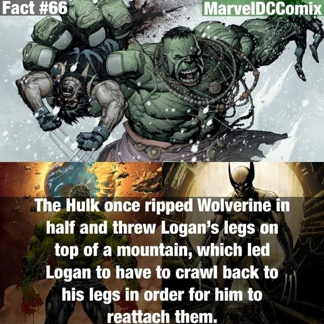 Fact #66 MarvelDCComix The Hulk once ripped Wolverine in half and threw ...