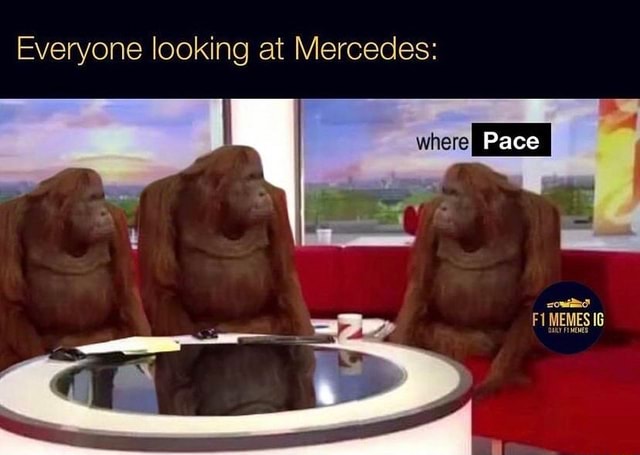 Everyone looking at Mercedes: Pace FY MEMES - iFunny