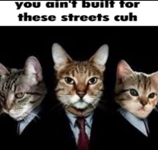 You ain err these streets cuh in - iFunny