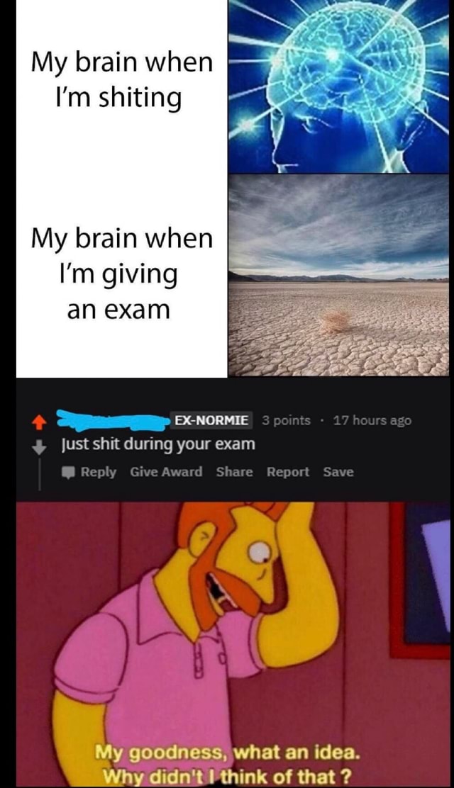 My brain when I’m shiting My brain when I’m giving an exam ªw EX-NORMIE ...