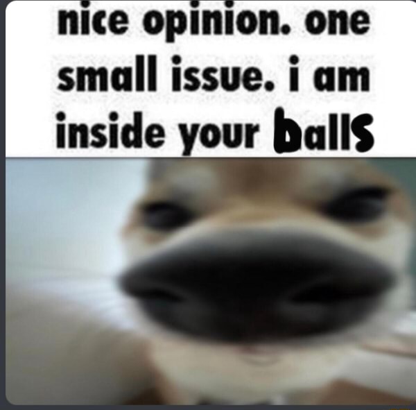Nice opinion. one small issue. i am inside your Ball$ - iFunny