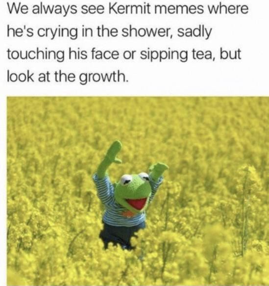We always see Kermit memes where he's crying in the shower, sadly ...