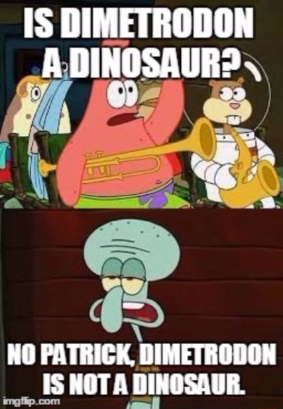 IS DIMETRODON 'ADINOSAUR?.. NO PATRICK, DIMETRODON IS HOT A DINOSAUR ...