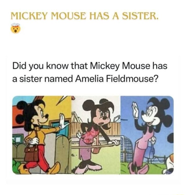 MICKEY MOUSE HAS A SISTER. Did you know that Mickey Mouse has a sister ...