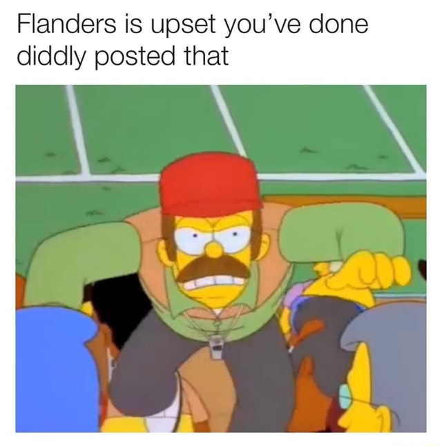 Flanders is upset you've done diddly posted that - iFunny