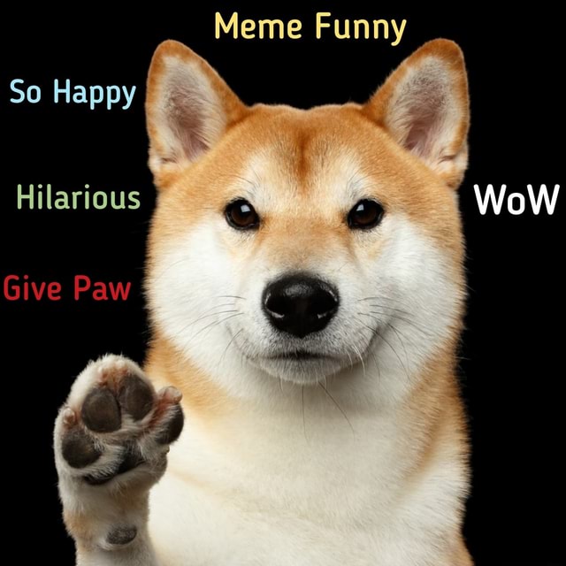 Meme Funny WoW So Happy \ Hilarious: Give Paw - iFunny