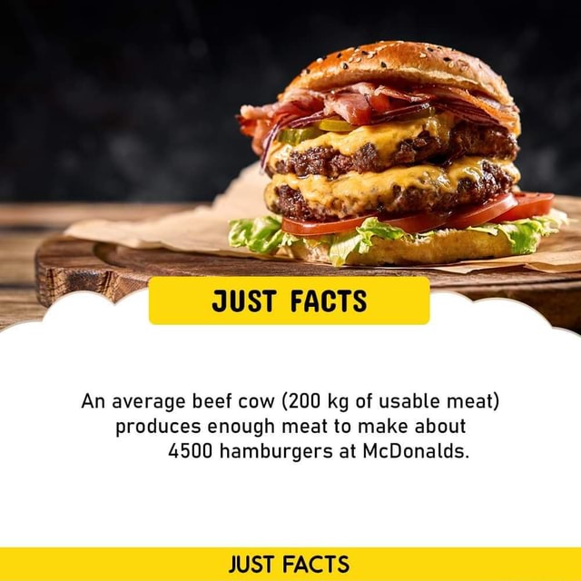 JUST FACTS An average beef cow (200 kg of usable meat) produces enough ...