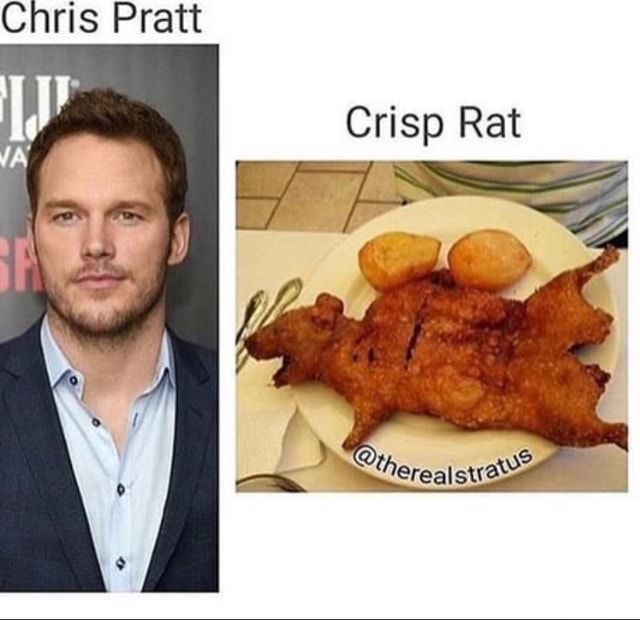 Chris Pratt Crisp Rat - iFunny