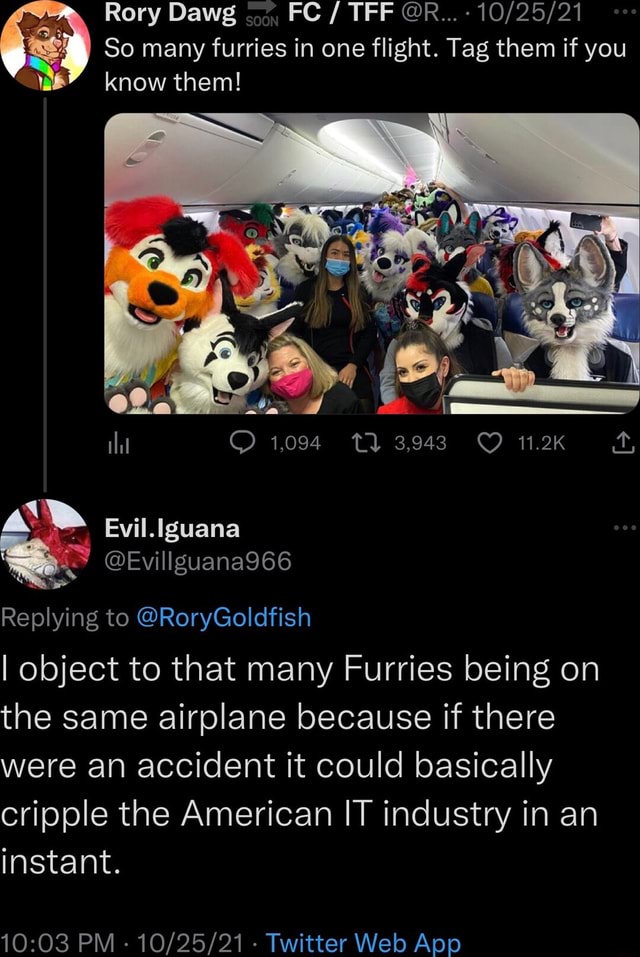 Rory Dawg FC / TFF OR... So many furries in one flight. Tag them if you ...
